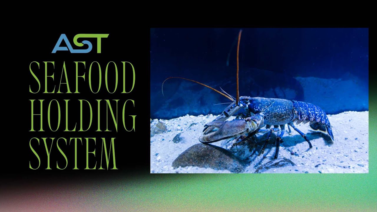 Introducing AST's Teachable Tuesday: Bead Filter Powered Seafood ...