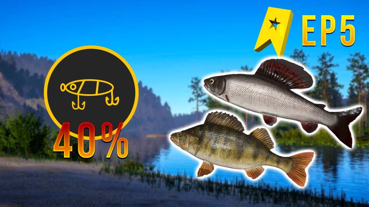 RF4 - LURE FISHING ONLY EP 5 - TWO TROPHIES! #rf4 #russianfishing4 ...
