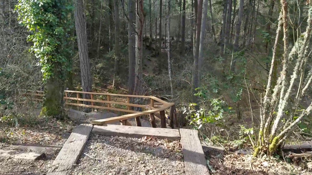 Hole 11 Steilacoom NW Disc Golf Course - YouTube