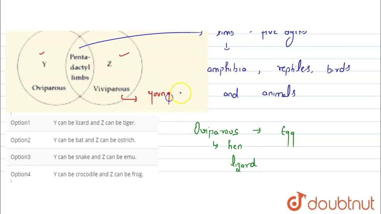 Refer To The Given Venn Diagram And Select The Correct Option Regarding