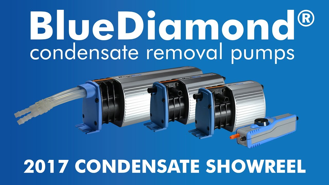 BlueDiamond® Pumps 2017 UK/Euro Condensate Show-reel - YouTube