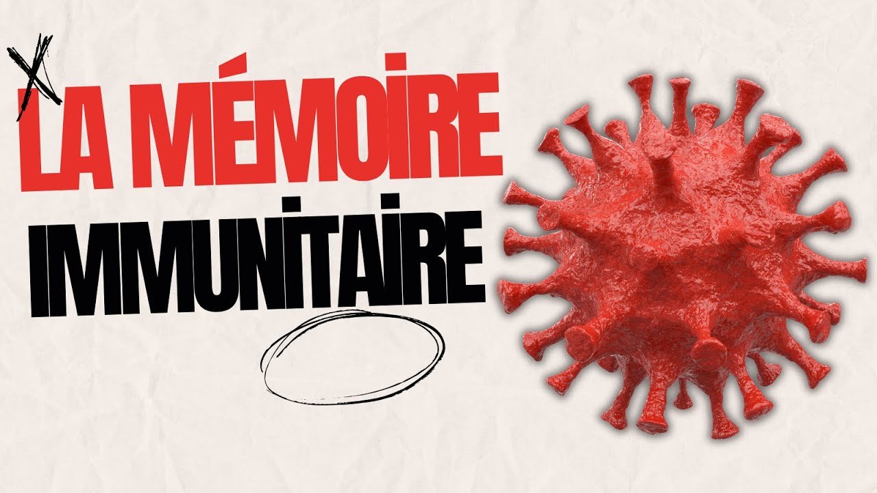 La mémoire immunitaire - YouTube