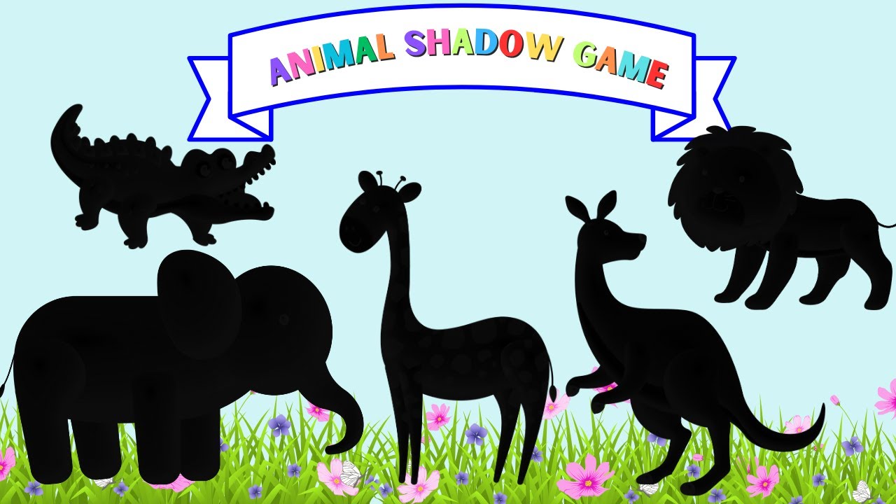 Wild Animal Shadow Game | Learn Wild Animal | Cute Wild Animal for Kids ...
