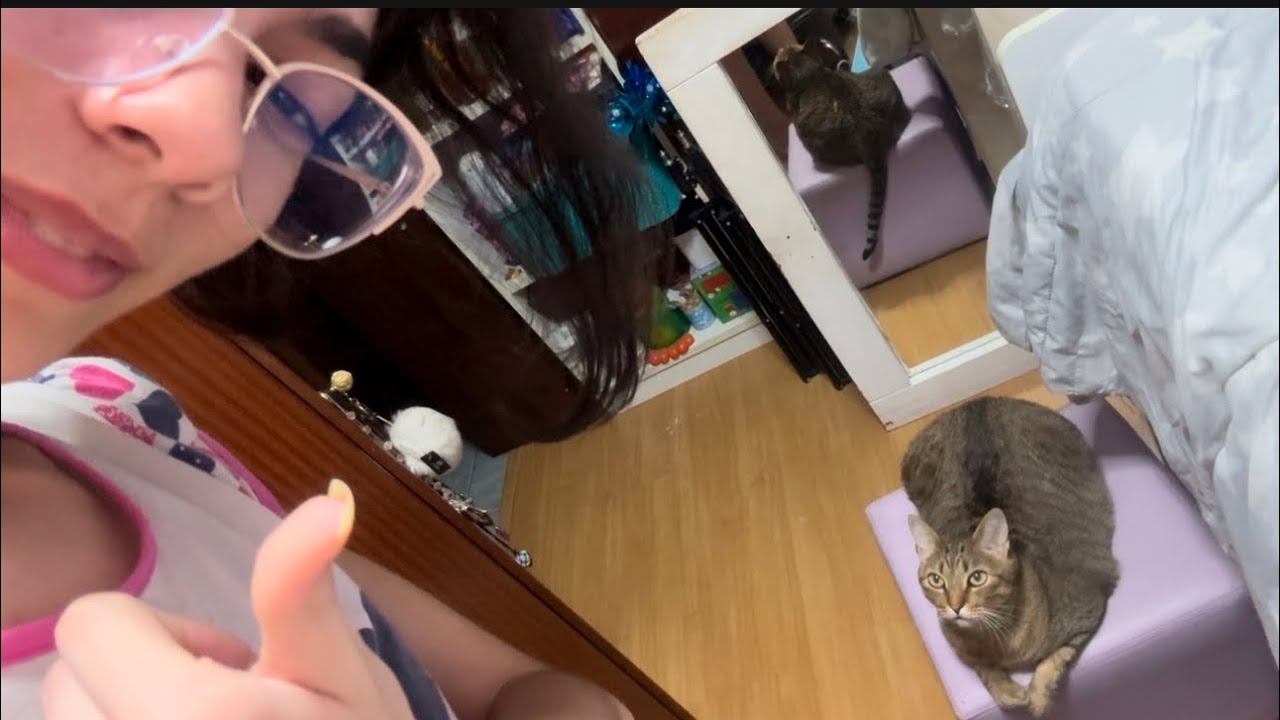 Dia de descanso, Bart e florzinha (Vlog dia 02/02/25) - YouTube