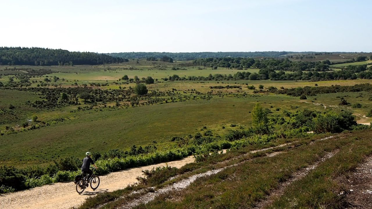 New Forest on Two Wheels - a journey through nature - YouTube