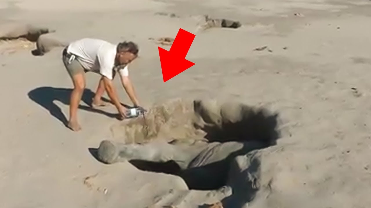 A Man Tried To Help An Elephant Trapped In A Deep Mud Pit, But ...