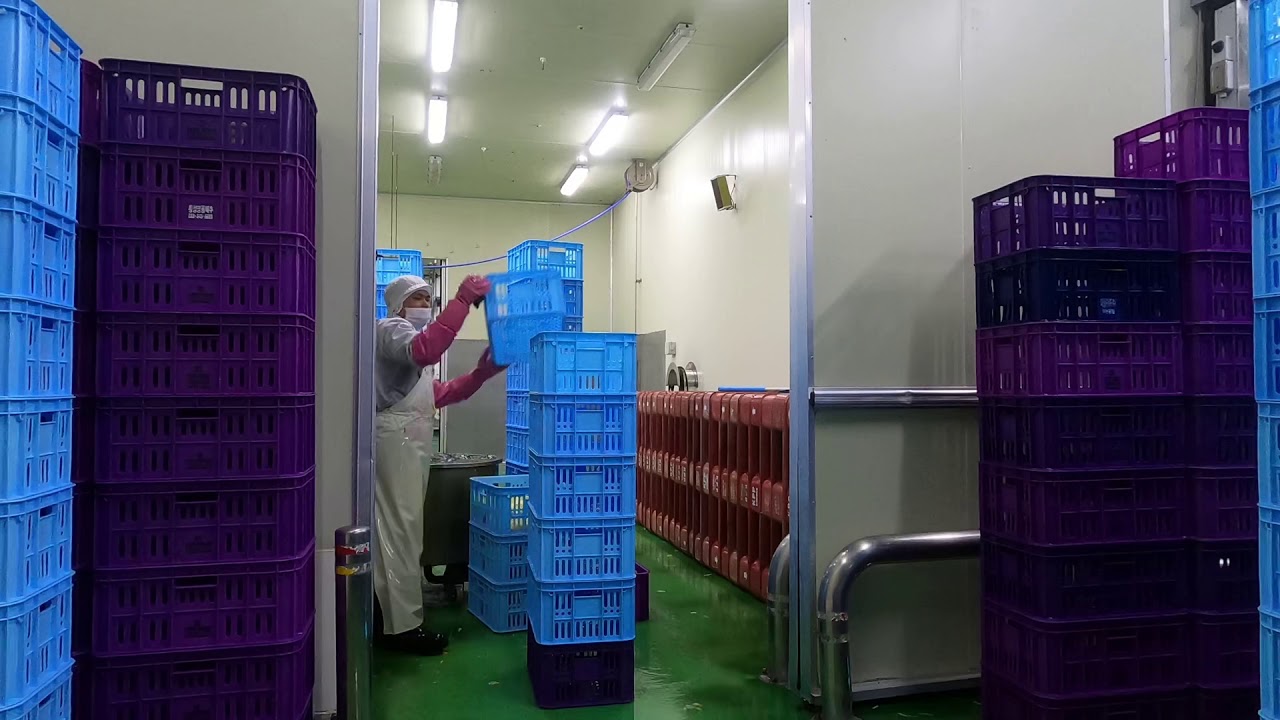 Kimchi Factory (South Korea) Trabaho Part 1 - YouTube