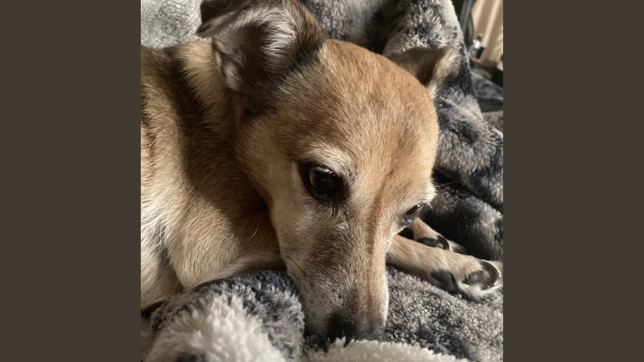 The Death Star Exploded - YouTube Music