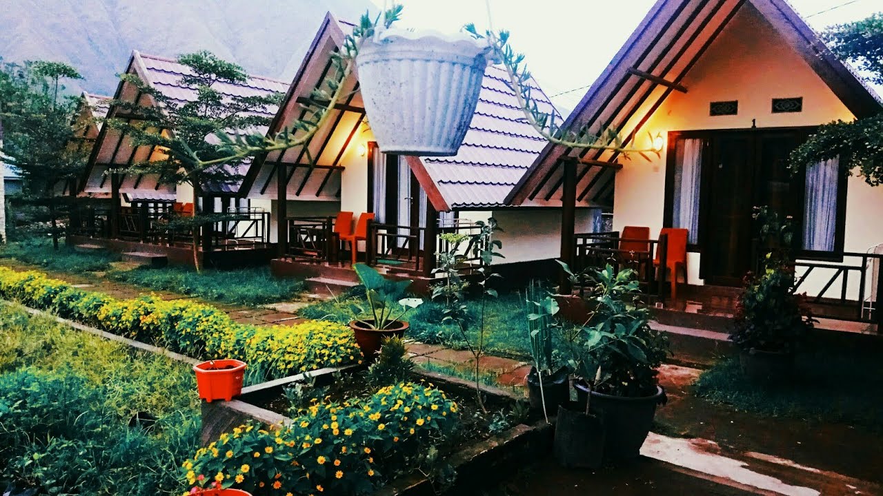 Nuansa Rinjani bungalow, penginapan recommended di sembalun Wisata ...