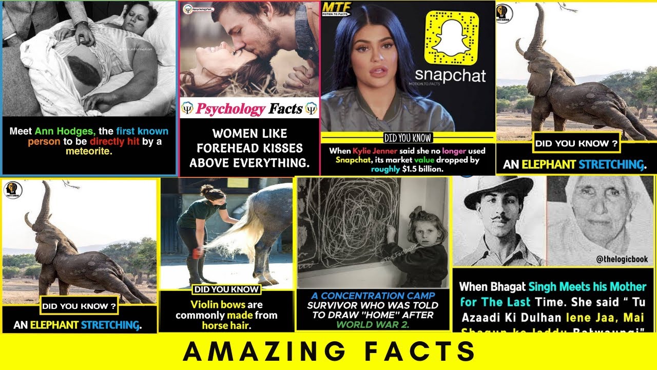 Did You Know Facts ? That Everyone Should Know 😋 #7 || Amazing Facts ...