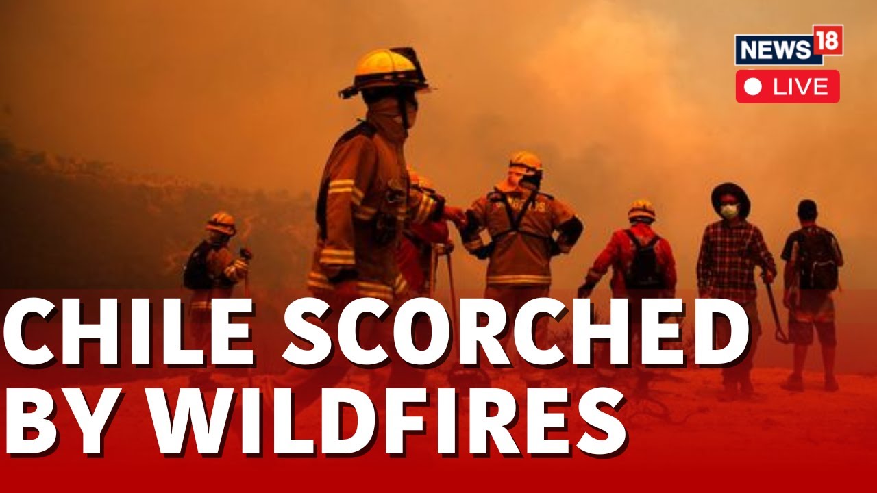 Chile Wildfires Live | Chile Wildfire 2023 | Chile Wildfire Footage ...