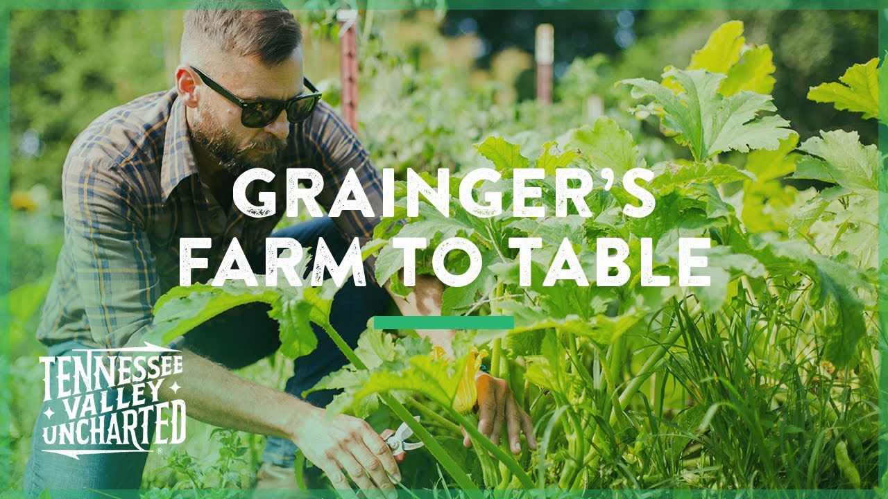 Ep. 501 "Grainger's Farm to Table" - Tennessee Valley Uncharted - YouTube