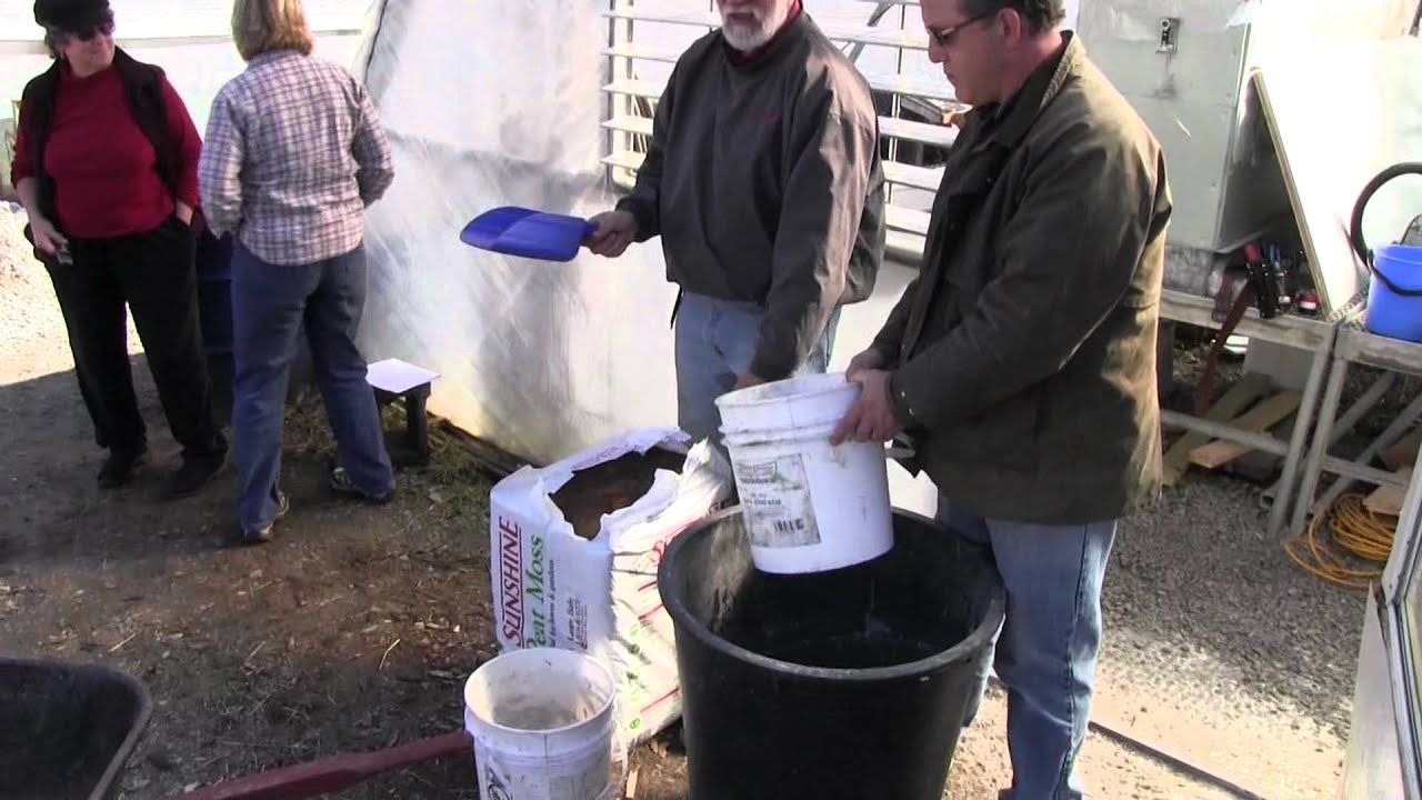 Seedling Production Part 6 - YouTube