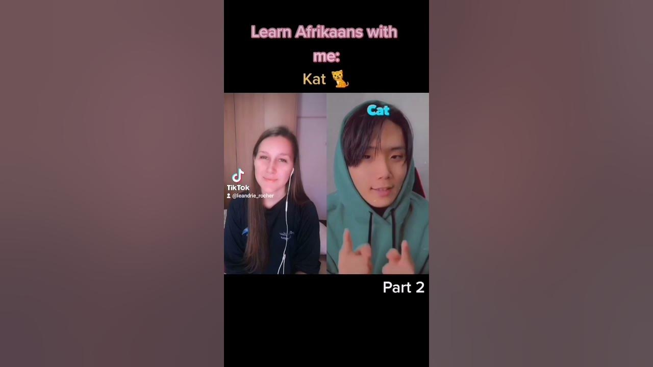 Learn The Animal Names In Afrikaans With Me What Languages Can You learn-the-animal-names-in-afrikaans-with-me-what-languages-can-you