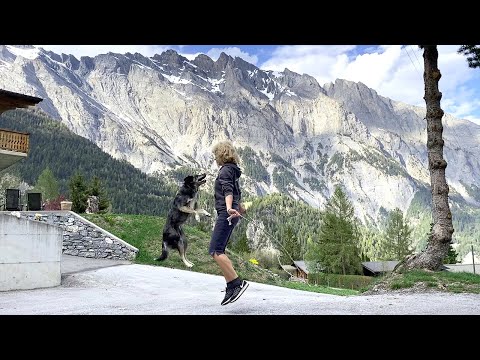Adorable Dog Skipping Rope With Owner || WooGlobe