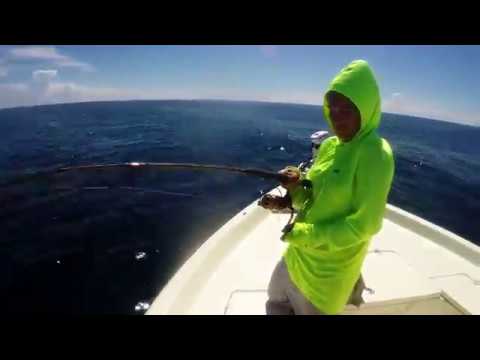 Tigers and Cobia out of Ponce Inlet - YouTube