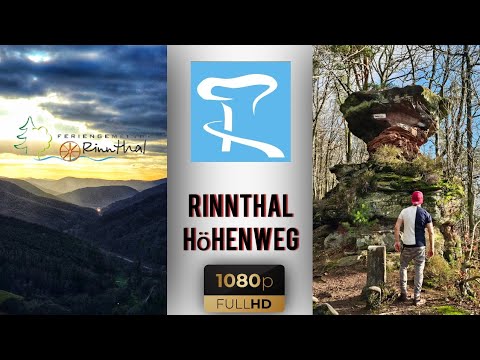 Rinnthal Höhenweg im Pfälzerwald | Gigantische Aussicht inklusive ...