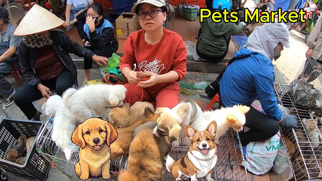 Exploring Vietnam’s Largest Dog & Cat Market - Weekend Pet Markets ...