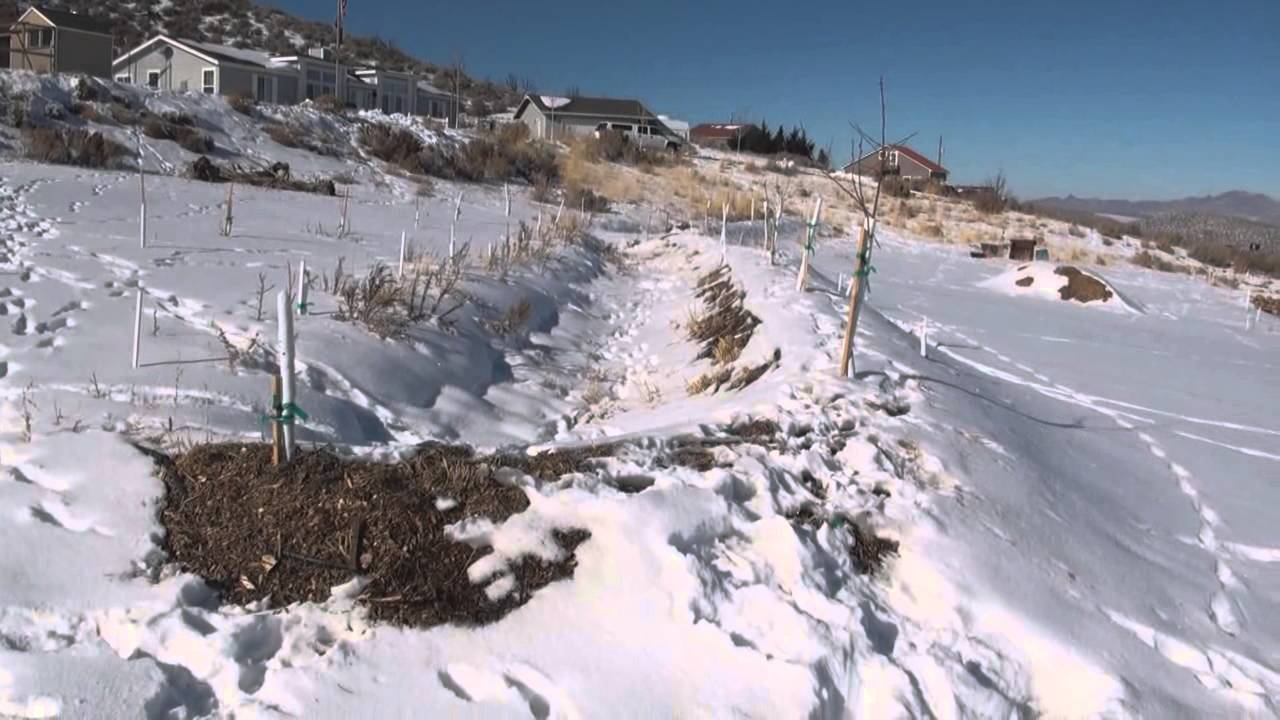 Swale Update 12 12 13 - YouTube