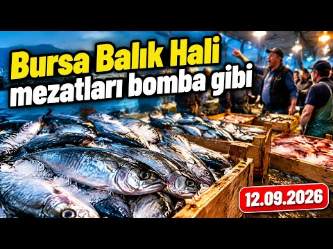 Balık mezatlarında bolluk ve ucuzluk var 12.09.2026