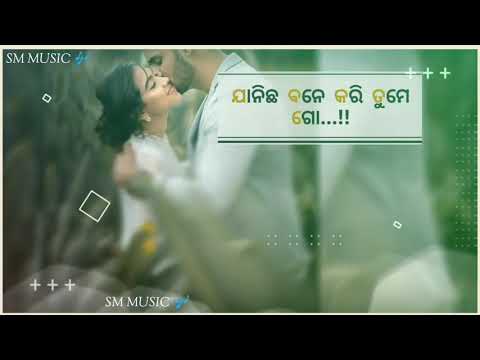 TAMKU JEBHE DEKHI DELI  SAMBALPURI ( STATUS)  VIDEO NEW