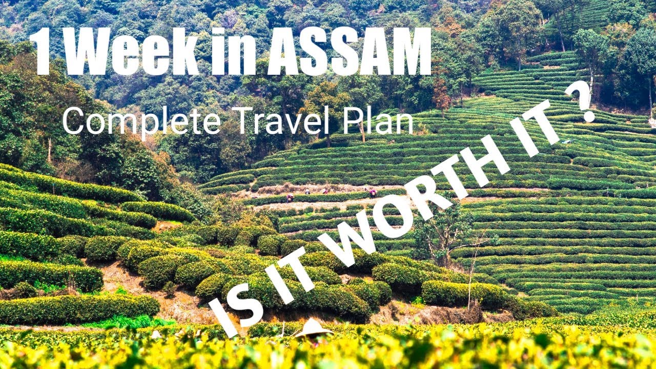 Top Tourist Destinations To Visit In Assam in 2020 | Complete Travel ...