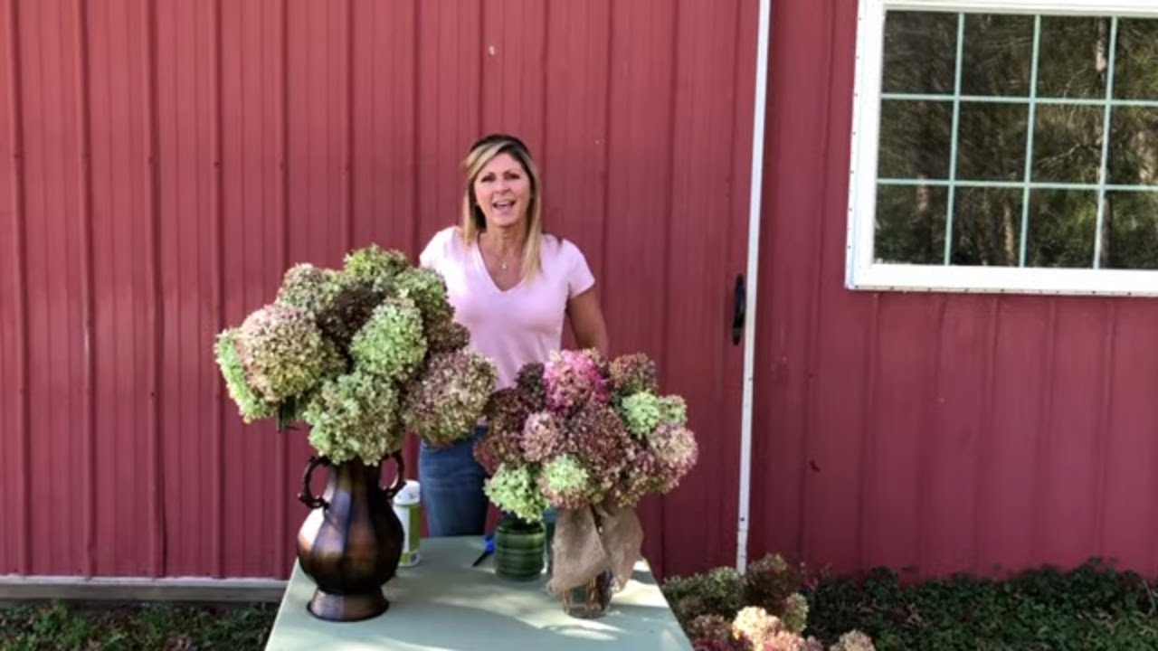 Hydrangea Arranging - YouTube
