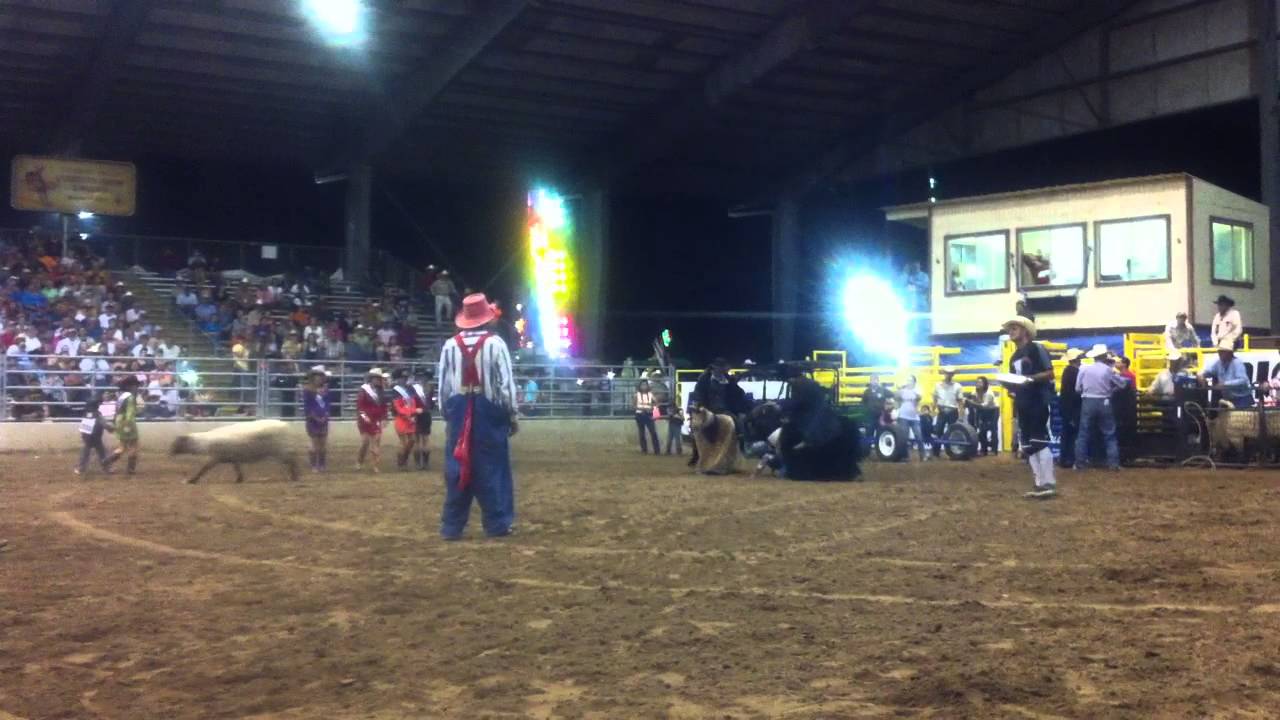 RGV Livestock Show & Rodeo 2012 - YouTube