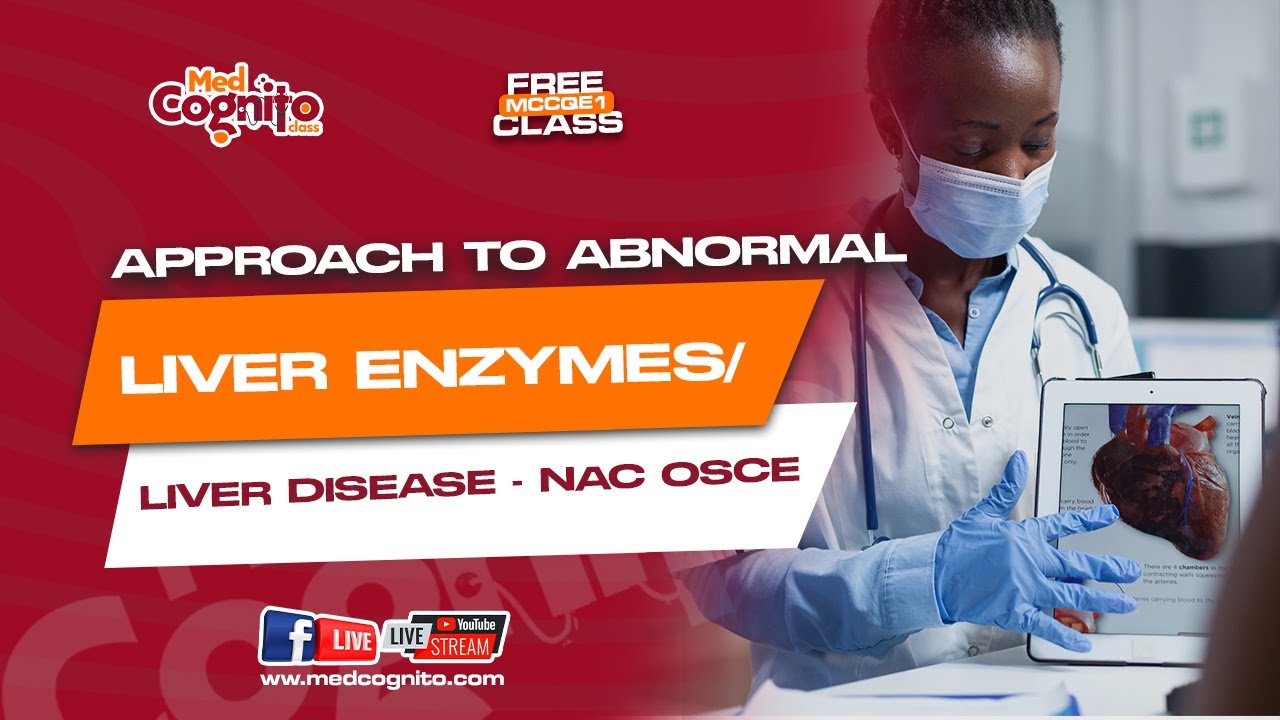 Approach to abnormal liver enzymes/liver disease - NAC OSCE - YouTube