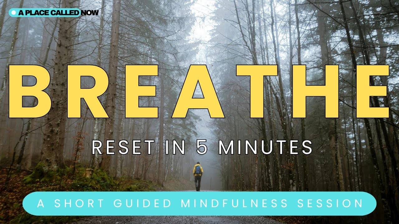 5-Minute Guided Breathing | Reduce Stress & Boost Longevity - YouTube
