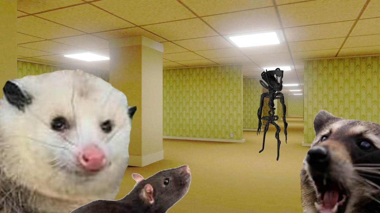 we go to the back rooms in GMod - YouTube