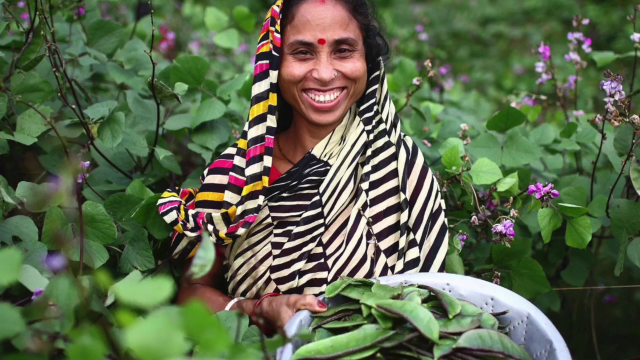 Sweden joints forces with UN Environment and UN Women to build a ...