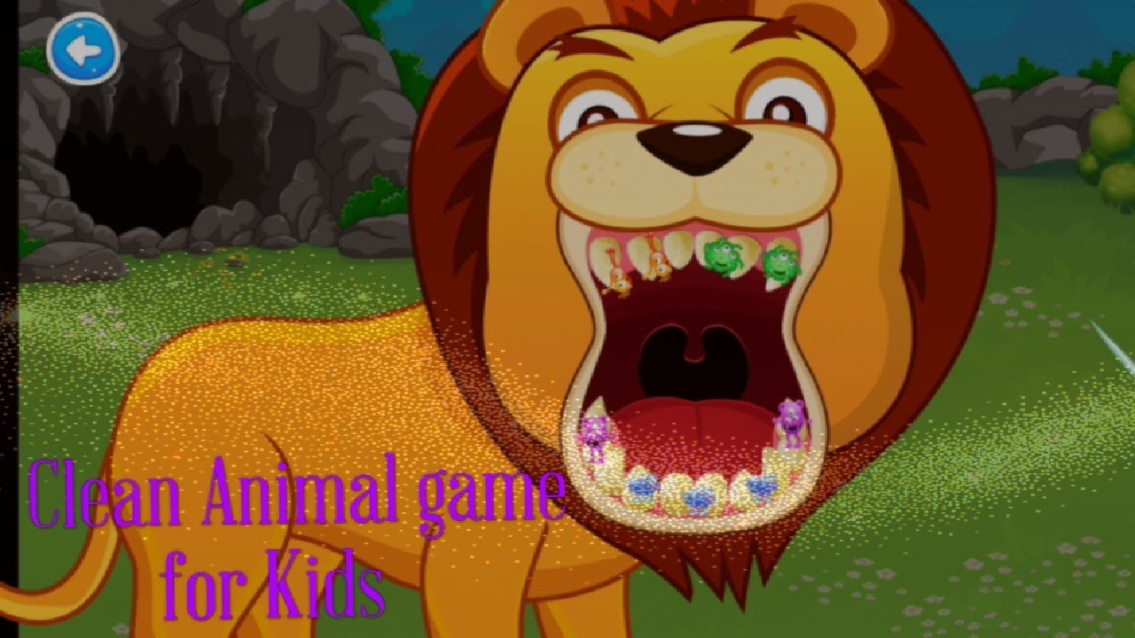 Animal clean and animal checkup game for Kids - YouTube