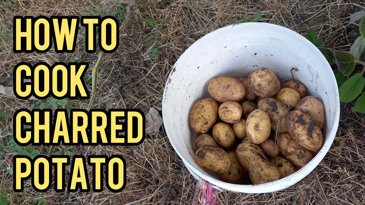 Cooking charred potatoes | közlenmiş patates | سیب زمینی ذغالی ...