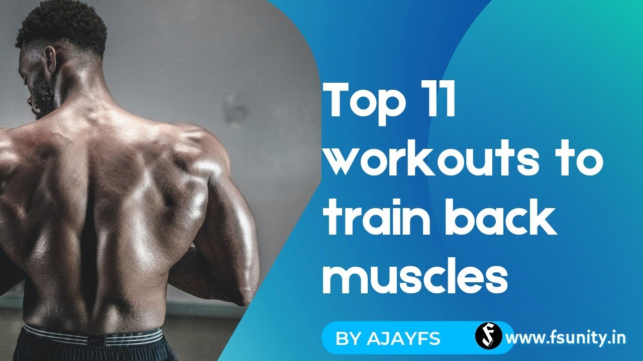 Top 11 gym workouts to train back muscles by Ajayfs certified personal ...