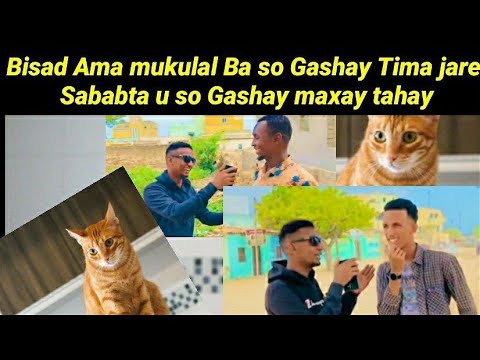 Su'al Bisad Ba So Gashay Tima Jare Sabab 😂 | Fikrado Qosol Badan 😂😂😁 ...