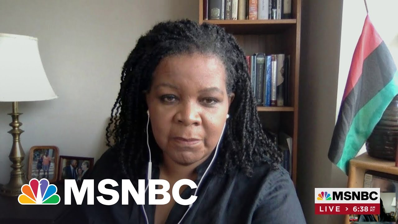 Author Annette Gordon-Reed Traces History Of Texas Through Family Story ...