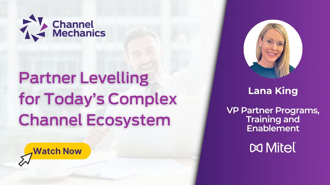 Channel Mechanics - How to Execute a Partner Levelling Program for ...