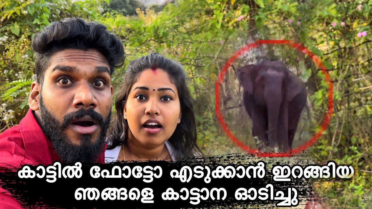കാട്ടാനയുടെ മുന്നിൽ നിന്നും തലനാരിഴക്കാണ് ഞങ്ങൾ രക്ഷപെട്ടത് | Wayanadan ...
