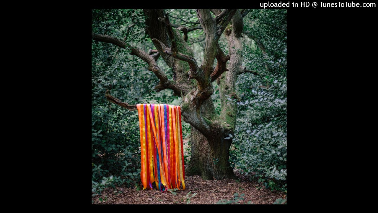 01 - James Holden & The Animal Spirits - Incantation For Inanimate ...