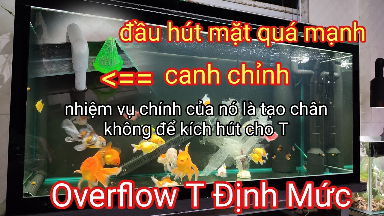Overflow, Điều Chỉnh 1 Vài Chi Tiết Để Canh Chỉnh Hệ Thống - YouTube