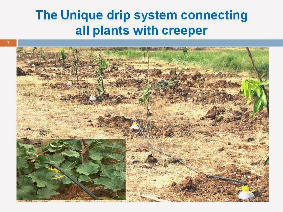 SWAR - System of Water for Agriculture Rejuvenation - YouTube