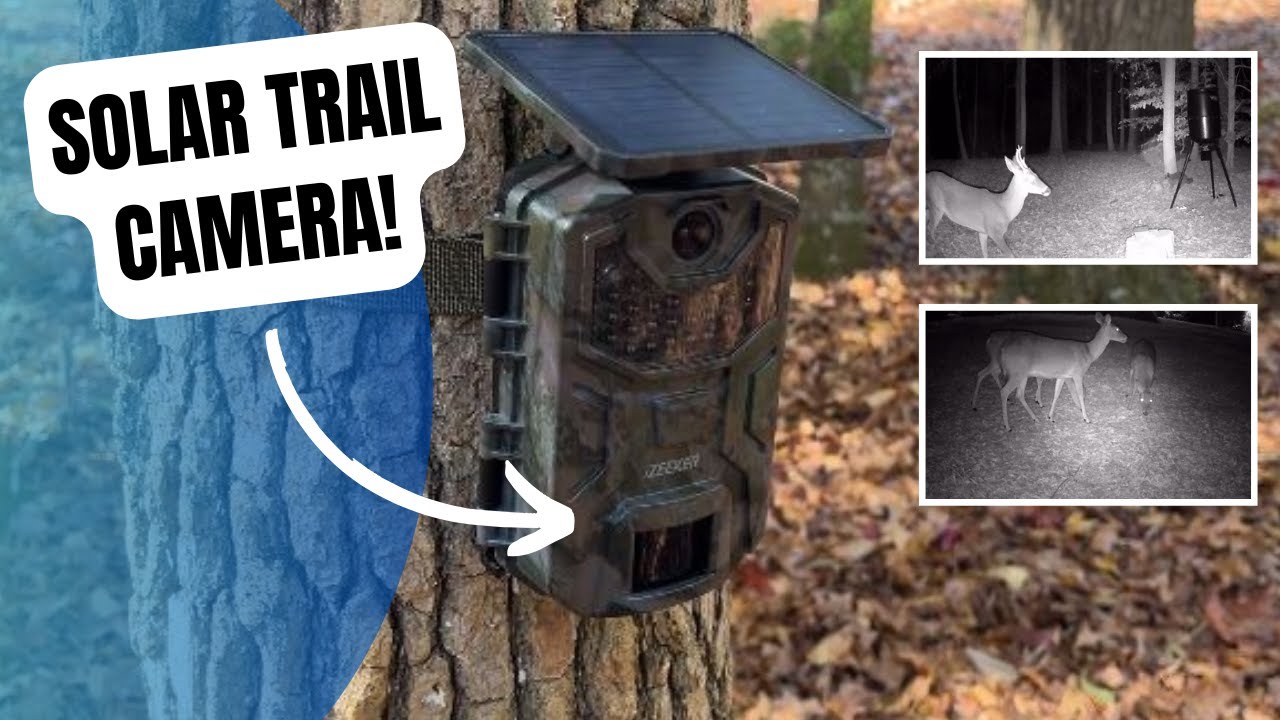 I'm Never Buying Batteries Again With This Solar Trail Camera! - YouTube