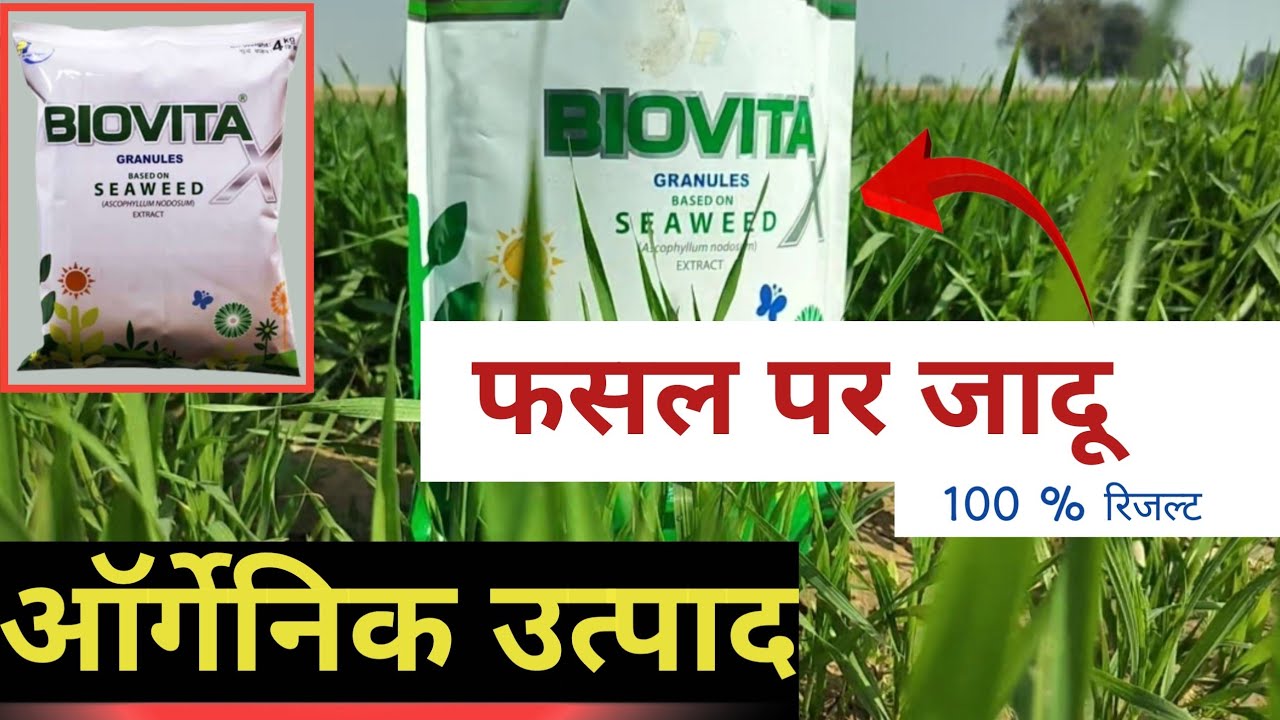 Biovita granules based on seaweed | ऑर्गेनिक उत्पाद।A To Z सम्पूर्ण ...