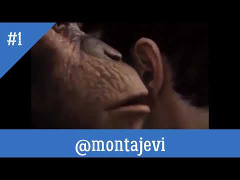 Hayırlı Cumalar Hacı Abi ( maymun Versiyon )