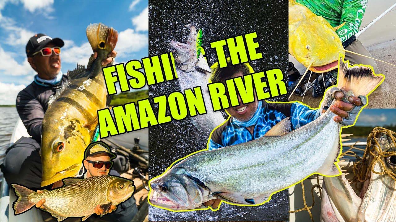 Fishing the Amazon River for predators such as 16lb peacock bass ...