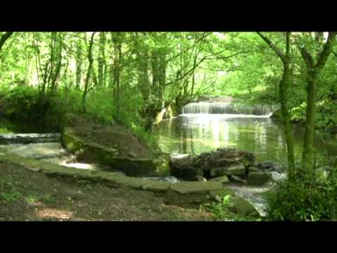 River Yarrow Regeneration and Installation of Fish Passes - YouTube