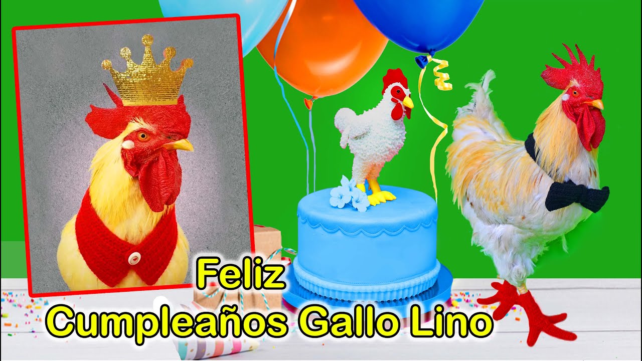 Feliz Cumpleaños Lino El Gallo Con Botas - YouTube