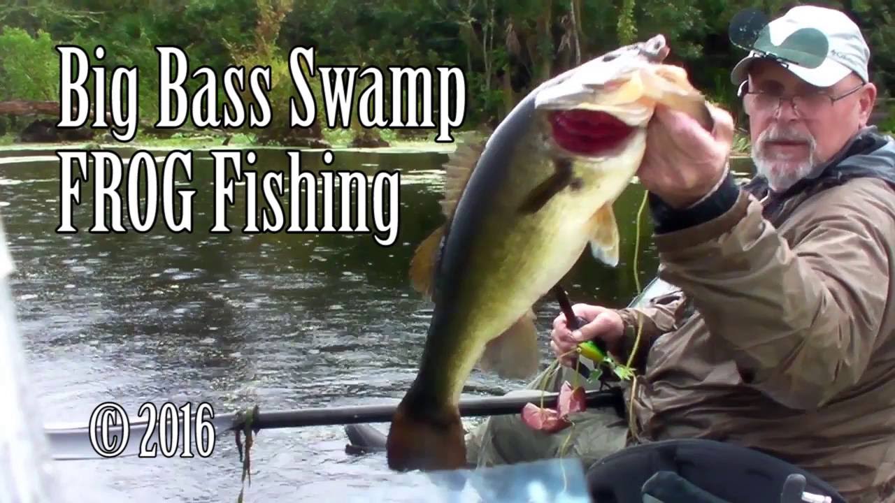 Big Bass Swamp FROG Fishing - YouTube