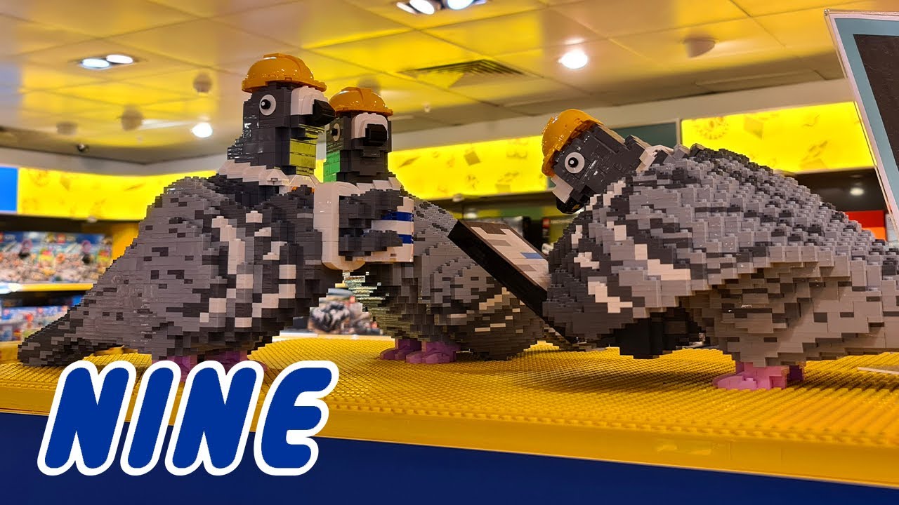 Lego Pigeons - YouTube